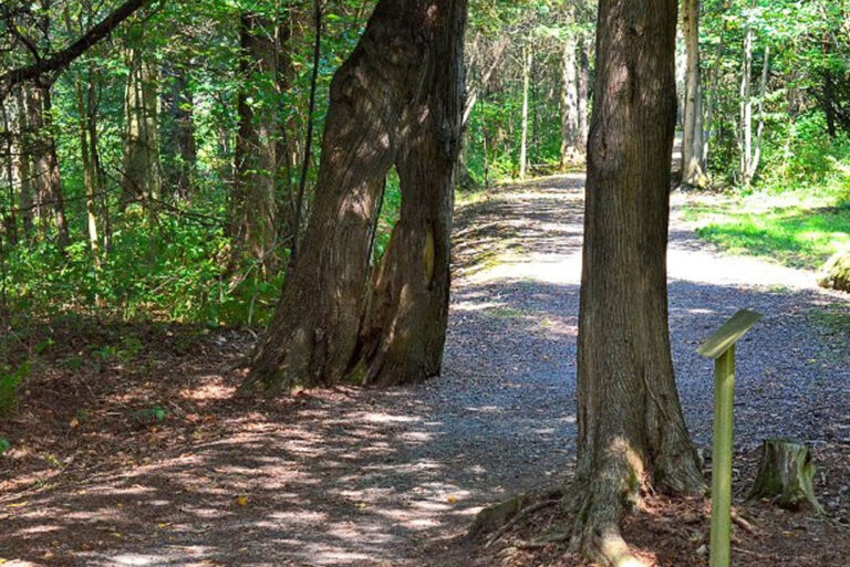 Les sentiers du moulin à laine d’Ulverton - Camping Melbourne Estrie